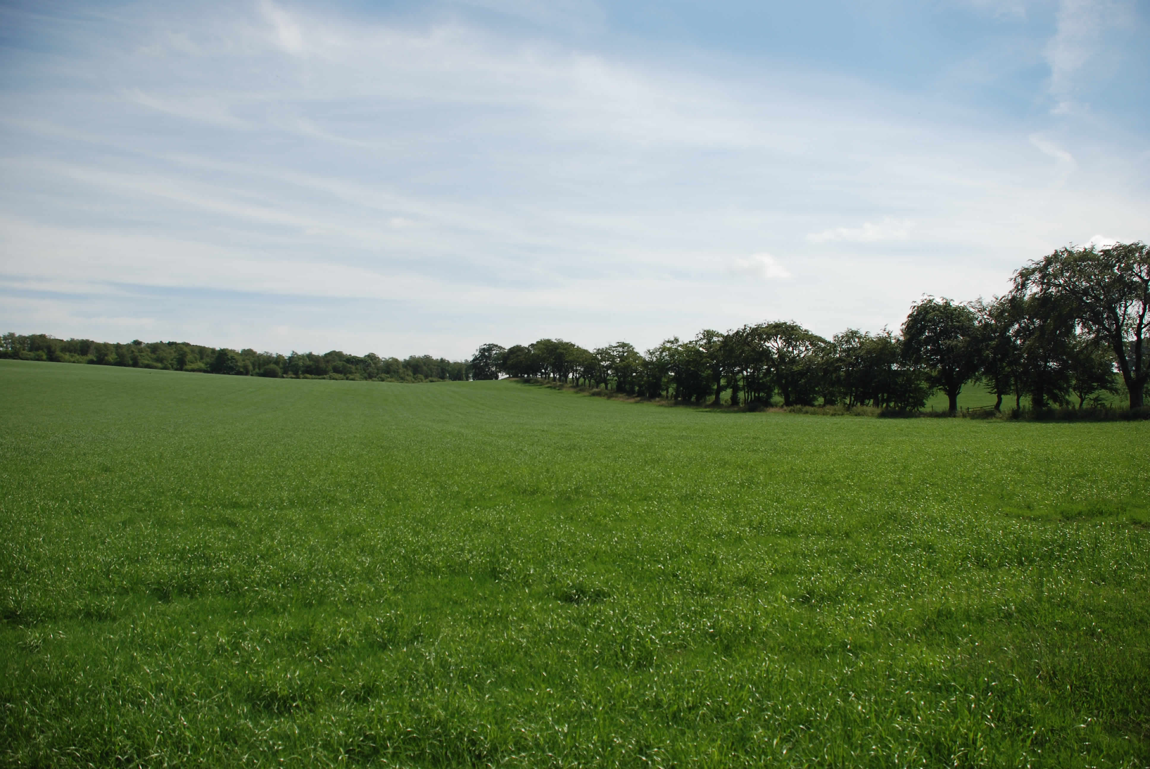 Properties For Sale Atm Property Sales